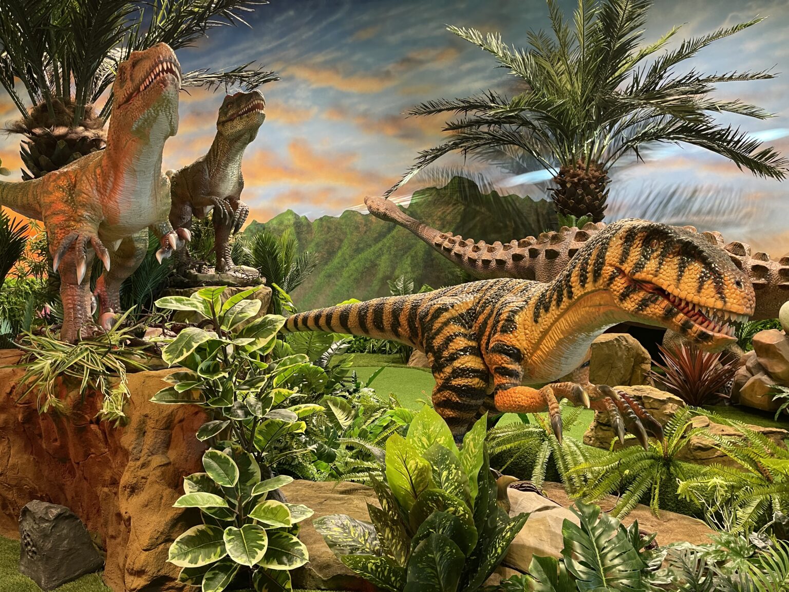 Activités - Jurassique Golf et Amusements